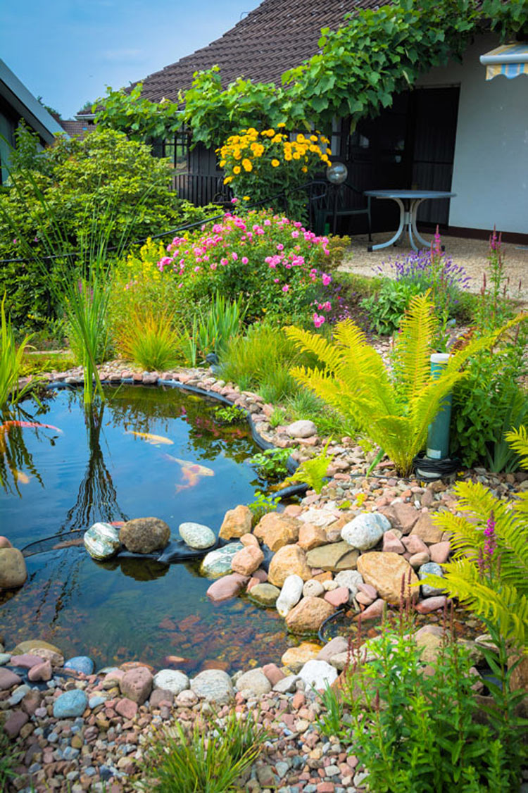 Laghetti da giardino: idee fai da te + video tutorial per un laghetto ...